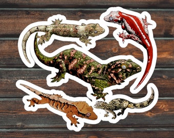 Gargoyle Gecko Sticker - Etsy
