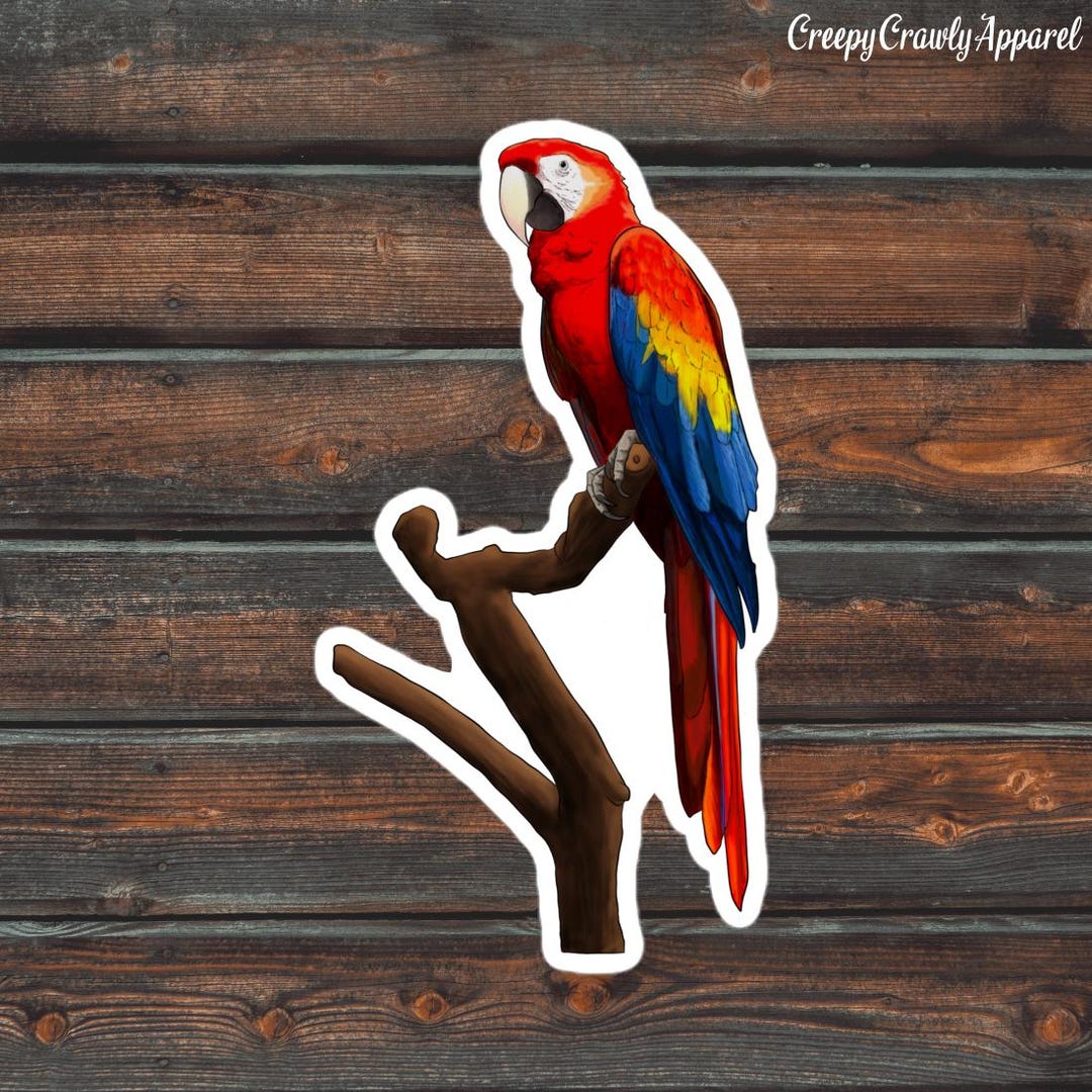 Scarlet Macaw Sticker, Bird Sticker, Cute Parrot Sticker, Waterproof ...