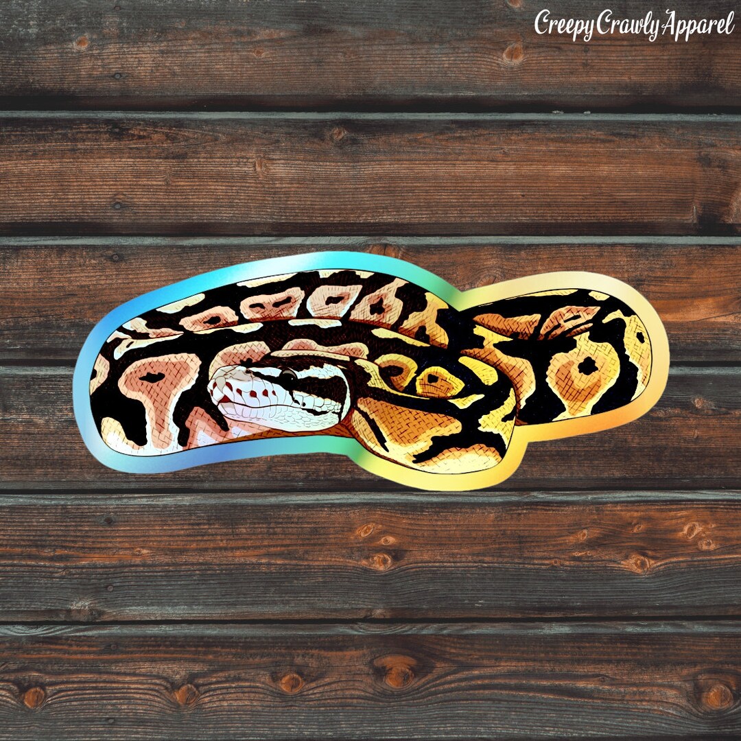 Pastel Ball Python Holographic Sticker, Reptile Sticker, Snake Sticker ...
