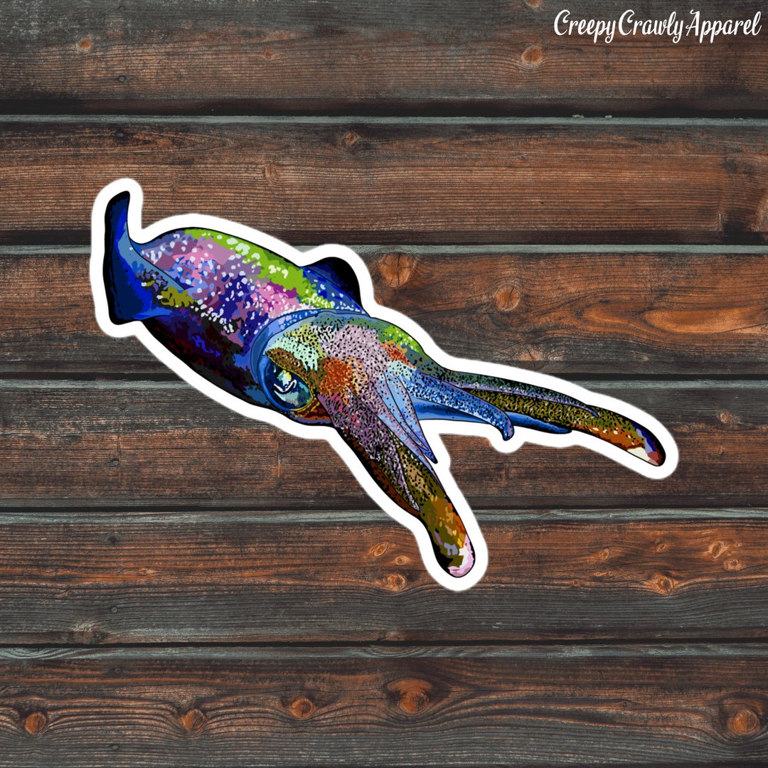 Caribbean Reef Squid Sticker, Waterproof Squid Sticker, Squid Water ...