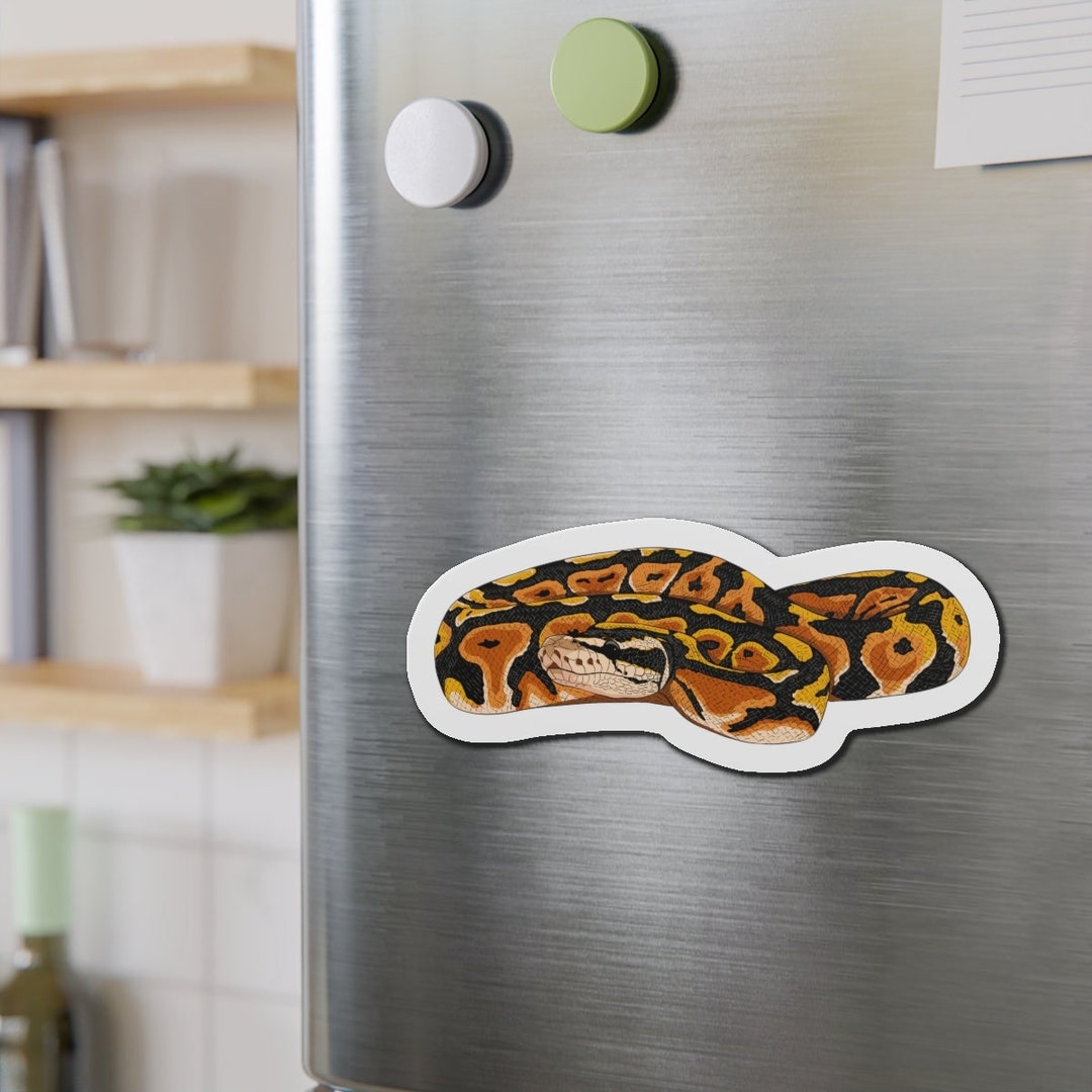 Pastel Ball Python Magnet, Snake Magnet, Reptile Magnet, Ball Python ...