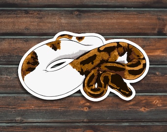 Ball Python Sticker - Etsy