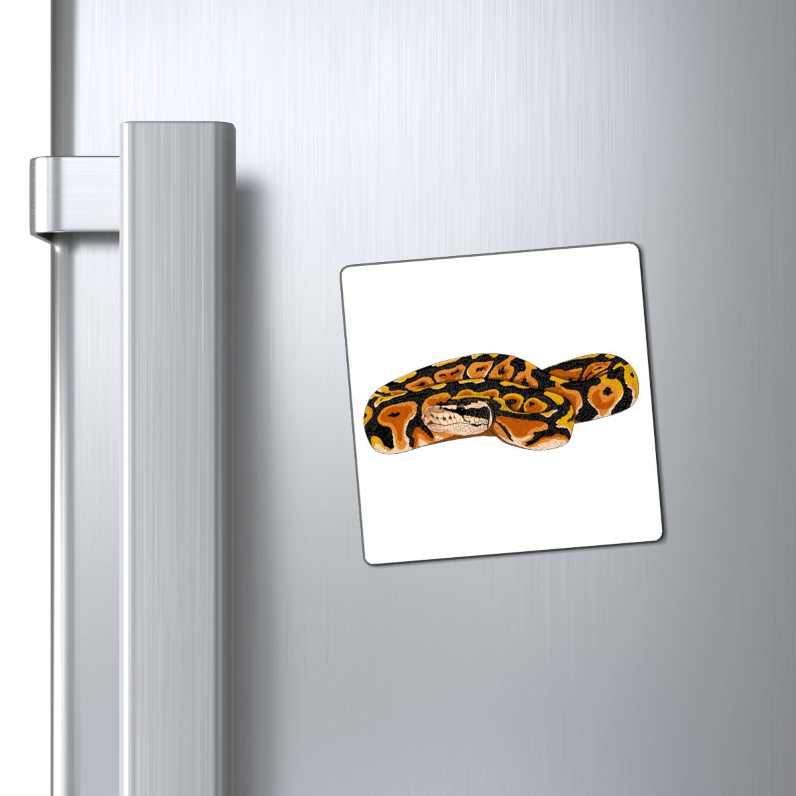 Pastel Ball Python Magnet Snake Magnet Reptile Magnet Ball - Etsy