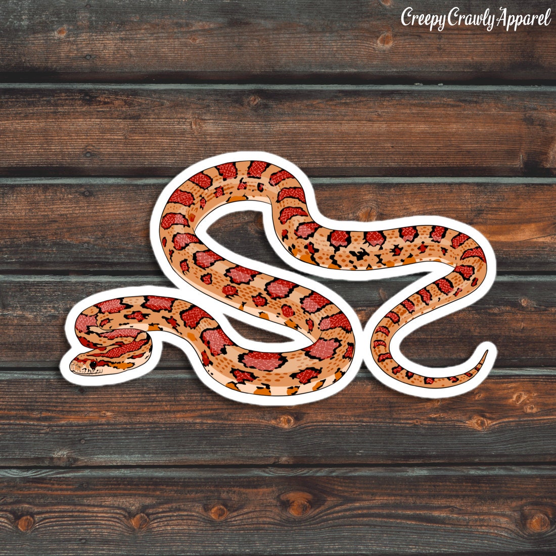 Corn Snake Sticker Reptile Sticker Snake Sticker Vinyl - Etsy