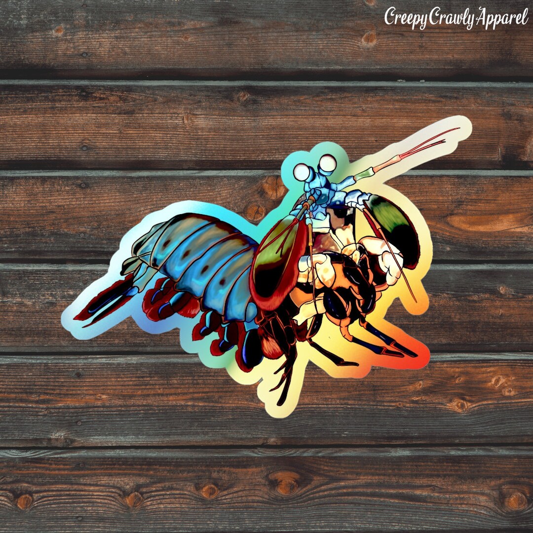 Mantis Shrimp Holographic Sticker, Shrimp Sticker, Ocean Sticker, Vinyl ...