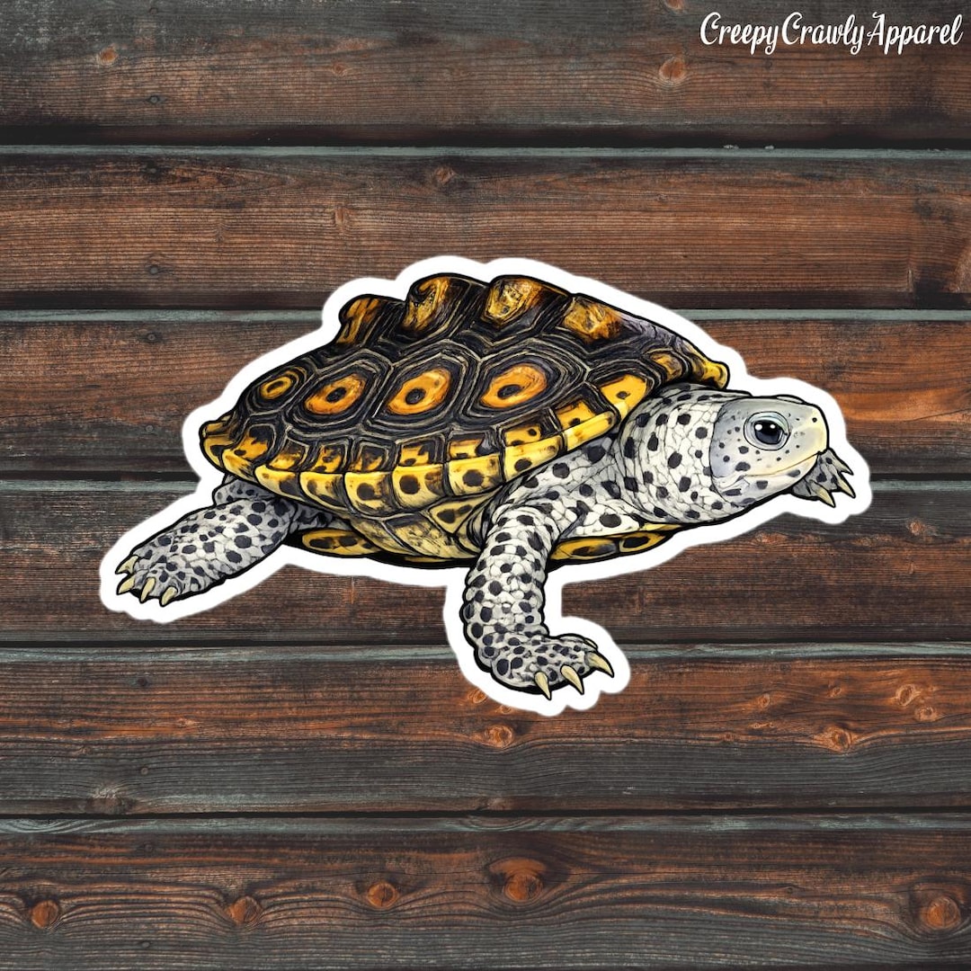 Diamondback Terrapin Sticker, Turtle Sticker, Reptile Sticker ...
