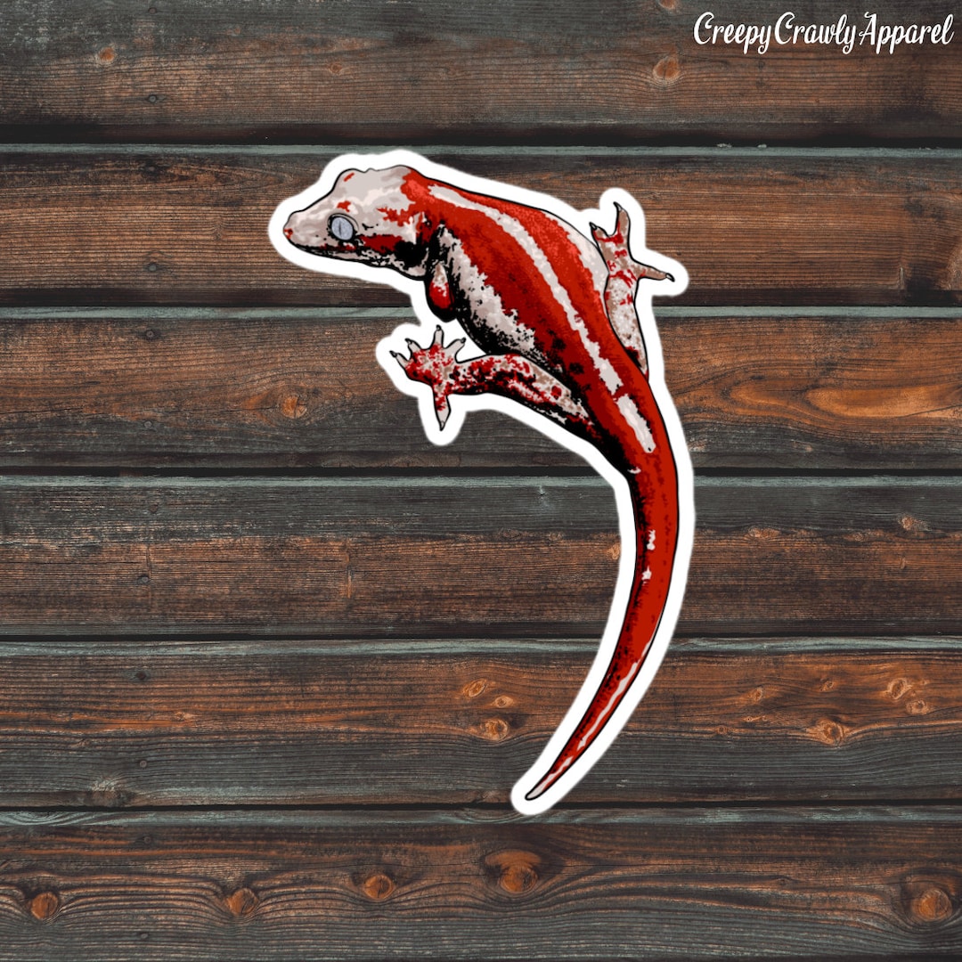 Gargoyle Gecko Sticker, Reptile Sticker, Lizard Sticker, Waterproof Pet ...