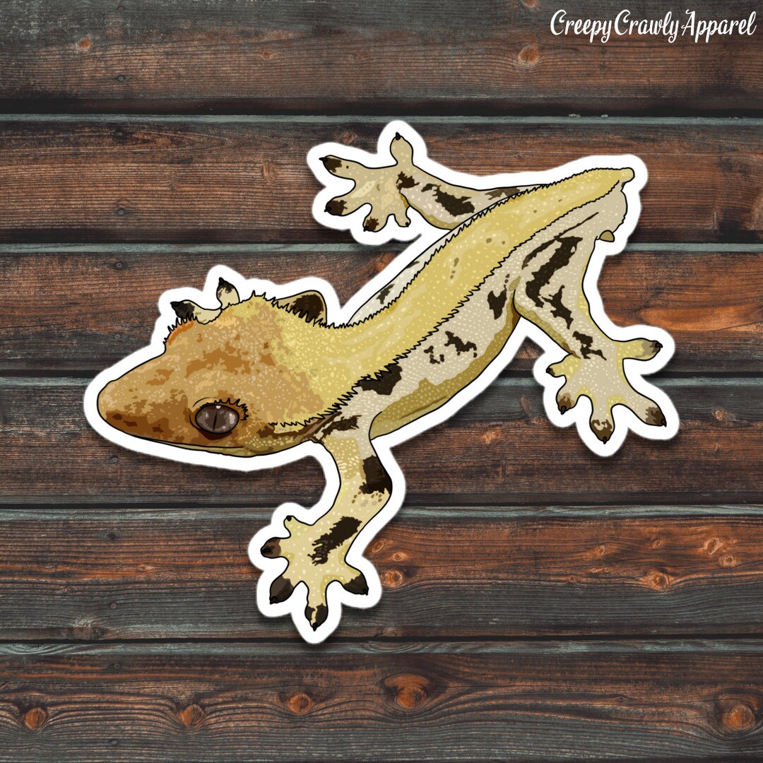 Frogbutt Lilly White Crested Gecko Sticker, Reptile Sticker, Lizard ...