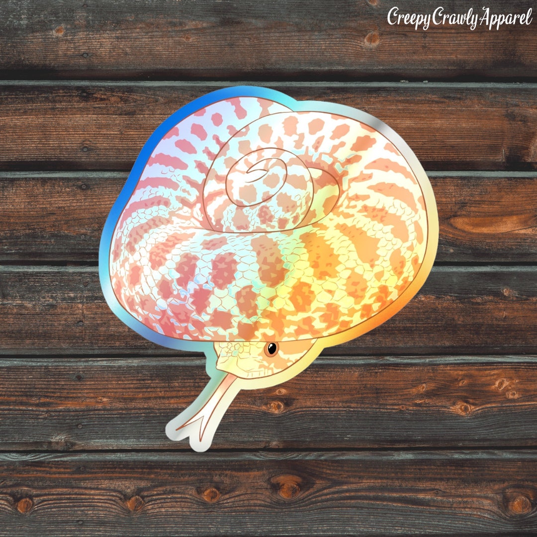 Albino Hognose Holographic Sticker, Reptile Sticker, Snake Sticker ...