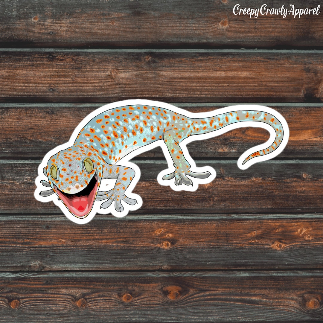 Tokay Gecko Sticker, Reptile Sticker, Lizard Sticker, Vinyl Waterproof ...