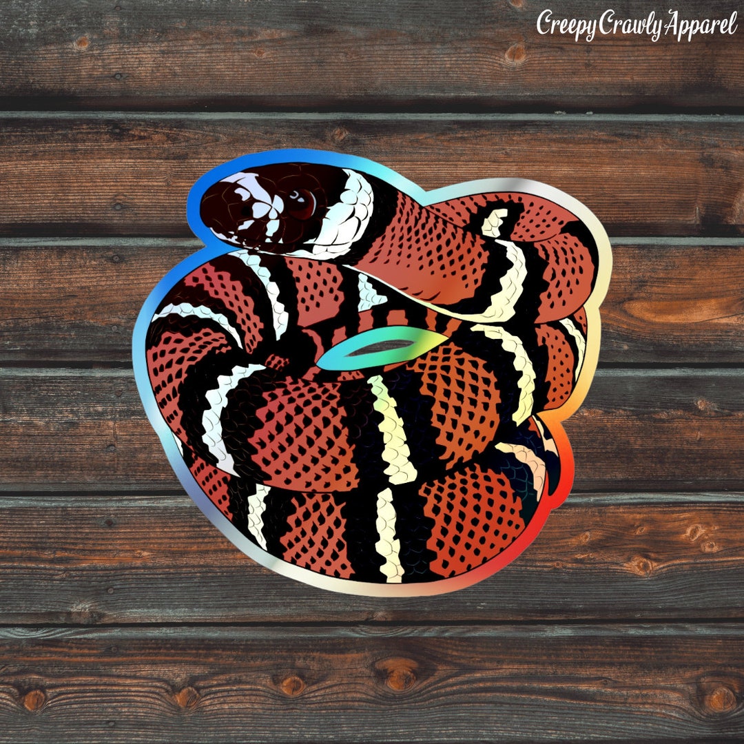 Milk Snake Holographic Sticker, Reptile Sticker, Snake Sticker, Vinyl ...