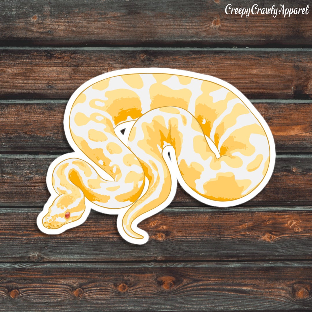 Albino Ball Python Sticker, Reptile Sticker, Snake Sticker, Vinyl ...