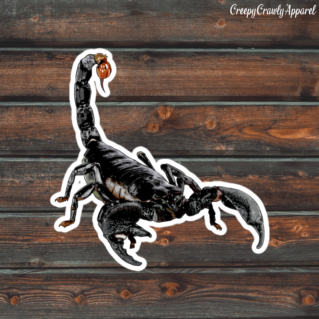 Emperor Scorpion Sticker, Bug Sticker, Cute Scorpion Sticker, Vinyl ...