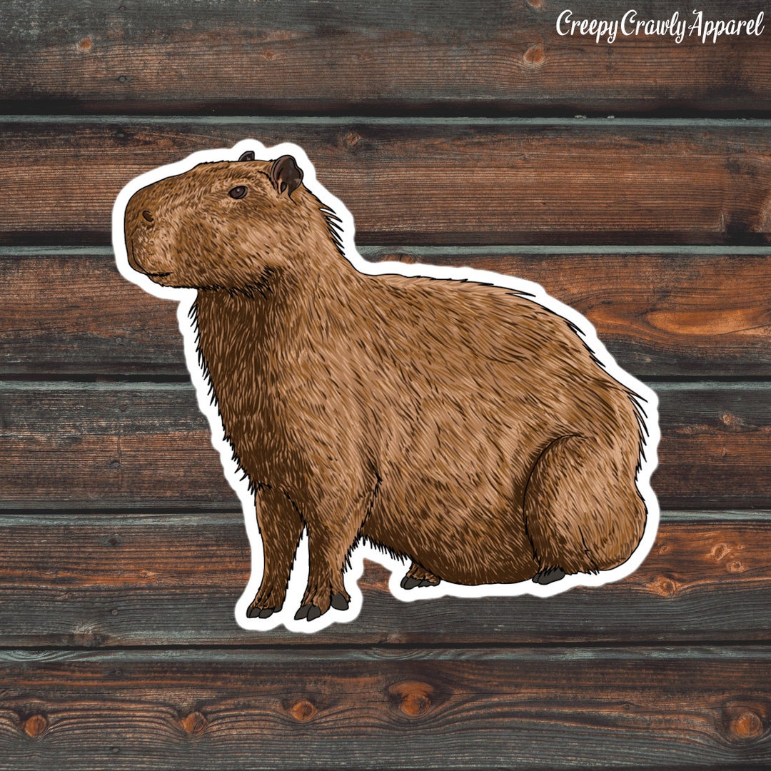 Capybara Sticker, Sitting Capy Sticker, Cute Capybara Sticker, Vinyl ...