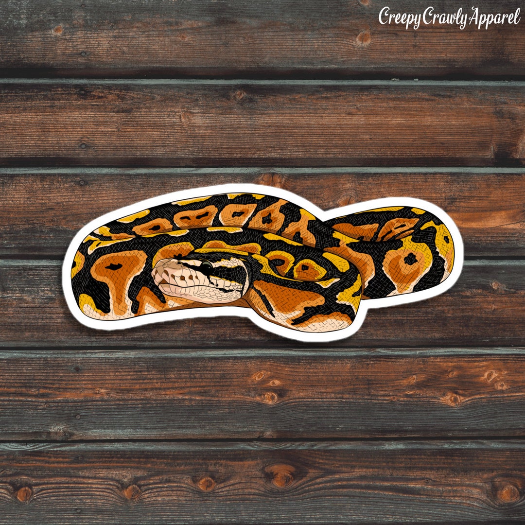 Pastel Ball Python Sticker, Reptile Sticker, Snake Sticker, Vinyl ...