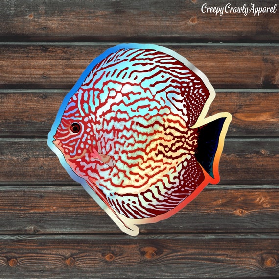 Red Discus Fish Holographic Sticker Fish Sticker Vinyl Pet | Etsy
