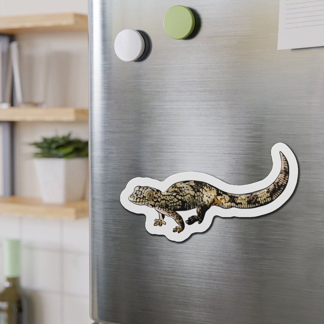 Chameleon Gecko Magnet, Gecko Magnet, Reptile Magnet, Eurydactylodes ...