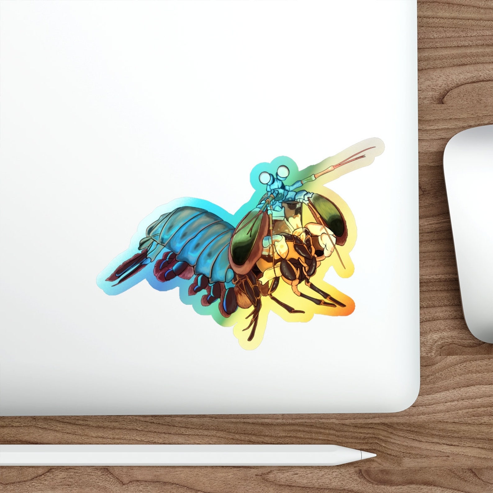 Mantis Shrimp Holographic Sticker Shrimp Sticker Ocean - Etsy