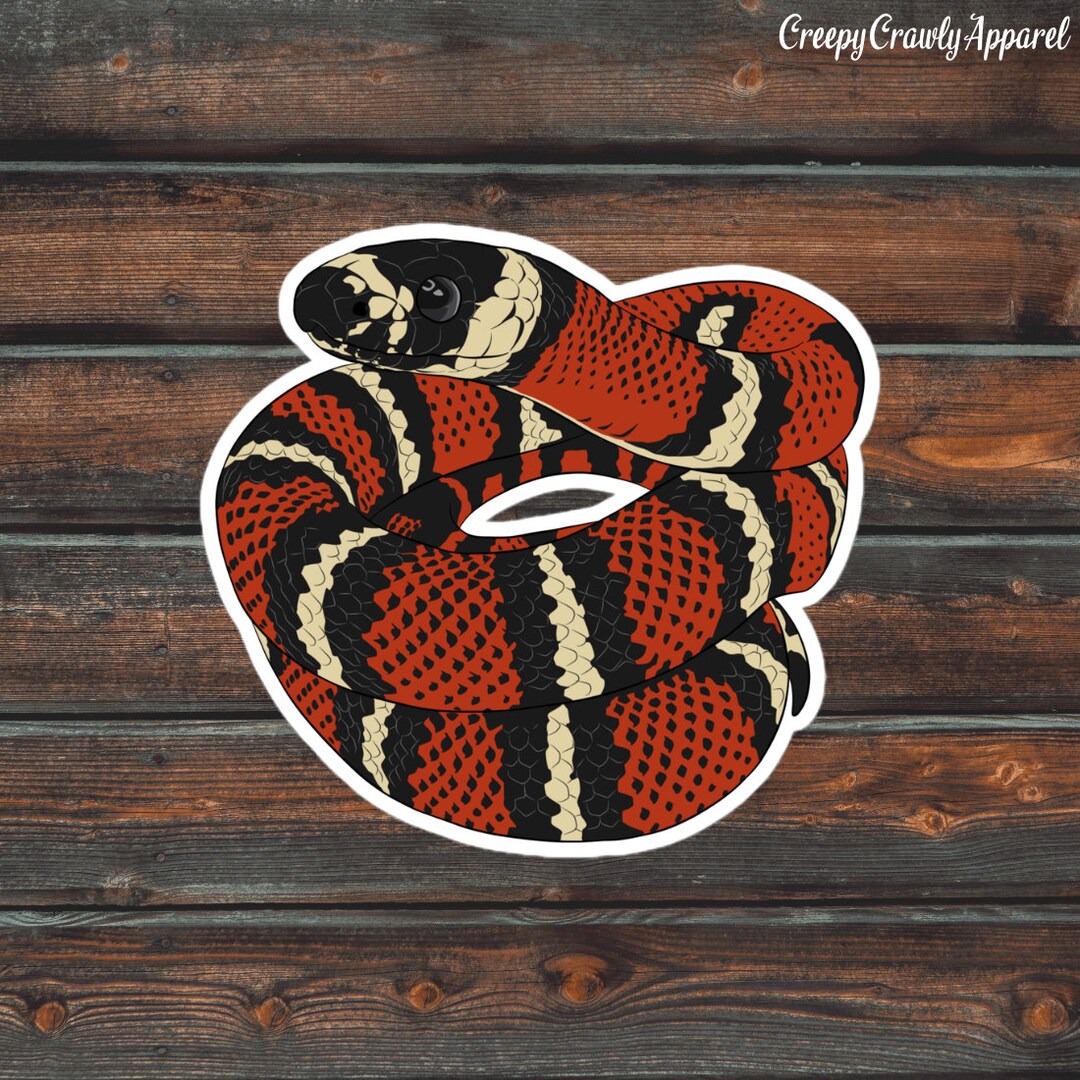 Milk Snake Sticker, Reptile Sticker, Snake Sticker, Vinyl Waterproof ...