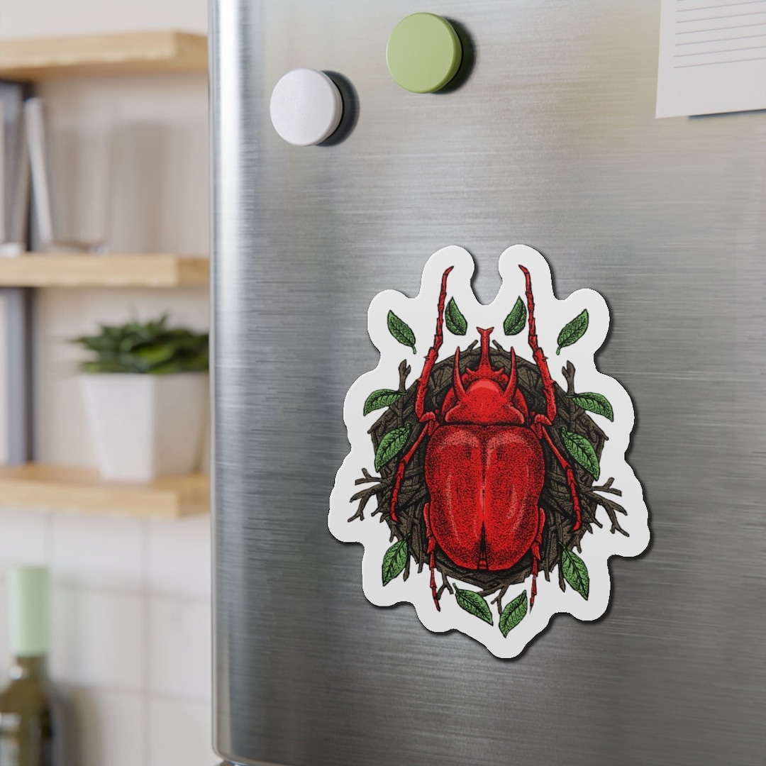 Red Beetle Magnet, Bug Magnet, Insect Magnet, Beetle Lover Magnet Gift ...