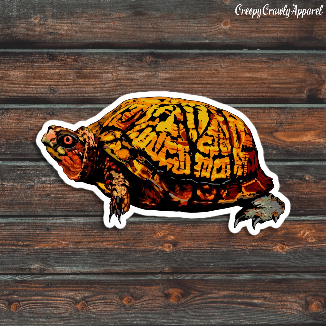 Box Turtle Sticker, Turtle Sticker, Reptile Sticker, Vinyl Waterproof ...