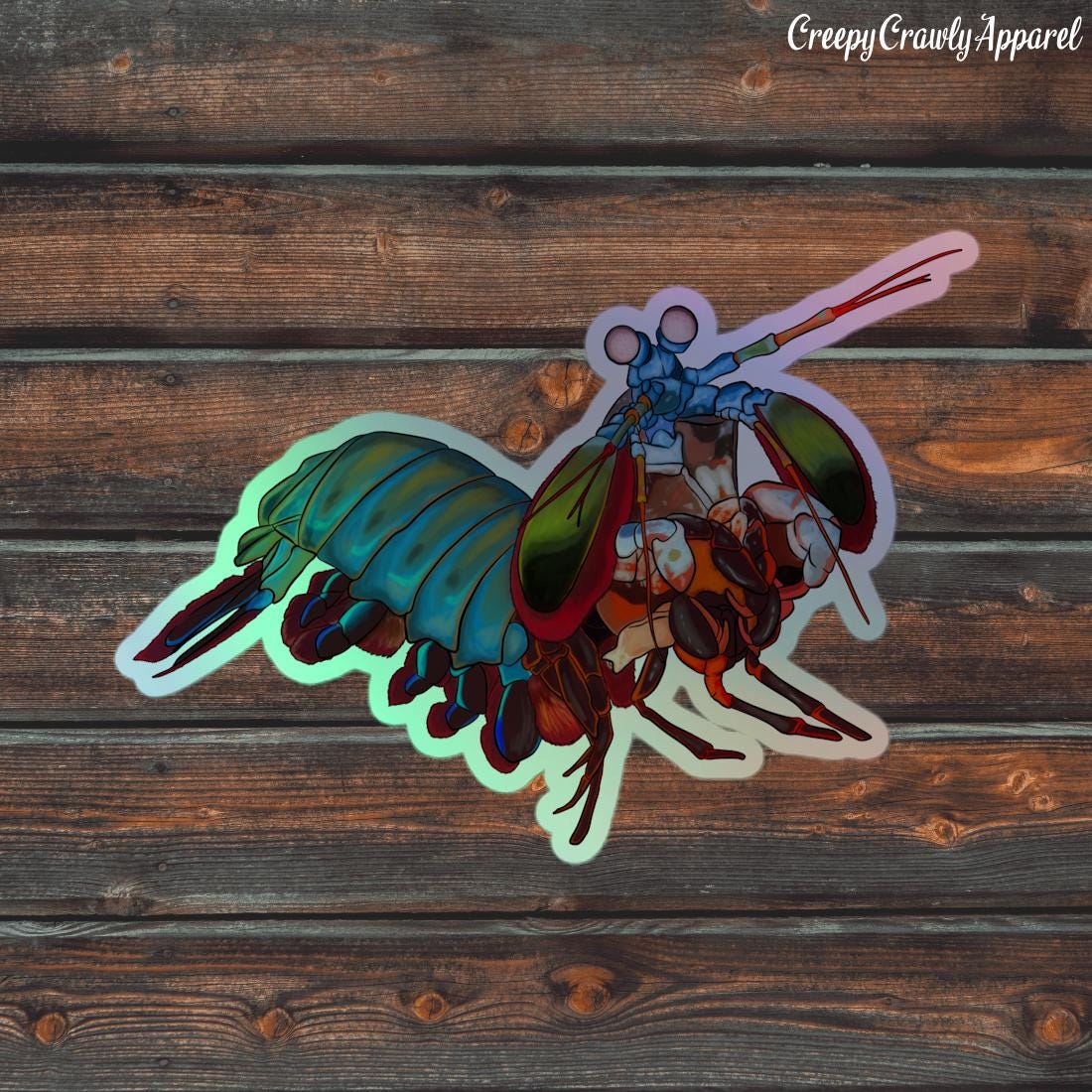 Mantis Shrimp Holographic Sticker, Shrimp Sticker, Ocean Sticker ...