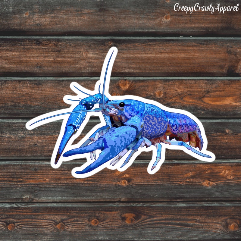 Crayfish - Etsy