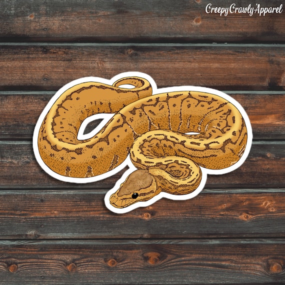 Pinstripe Ball Python Sticker Reptile Sticker Snake Sticker | Etsy