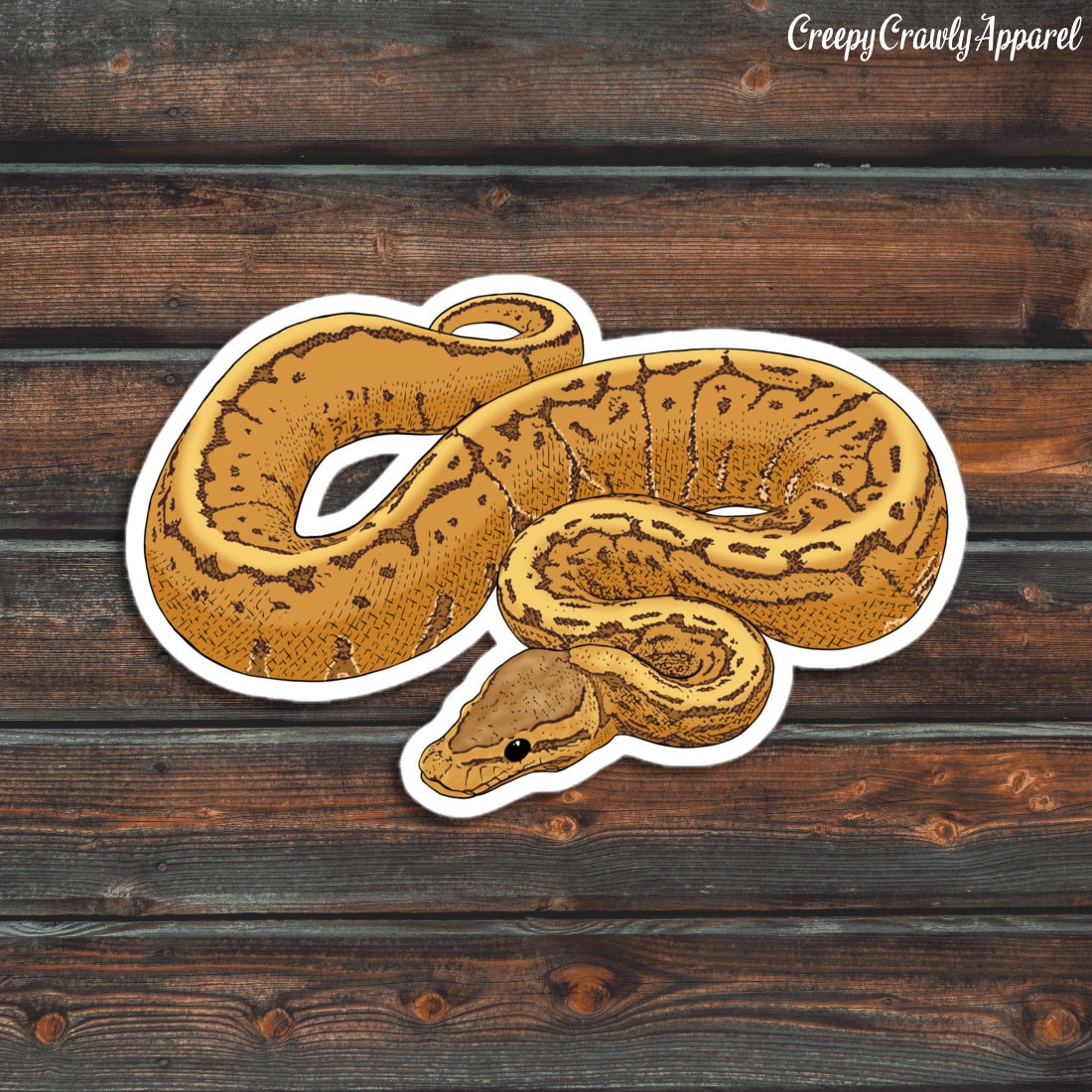 Pinstripe Ball Python Sticker Reptile Sticker Snake Sticker - Etsy