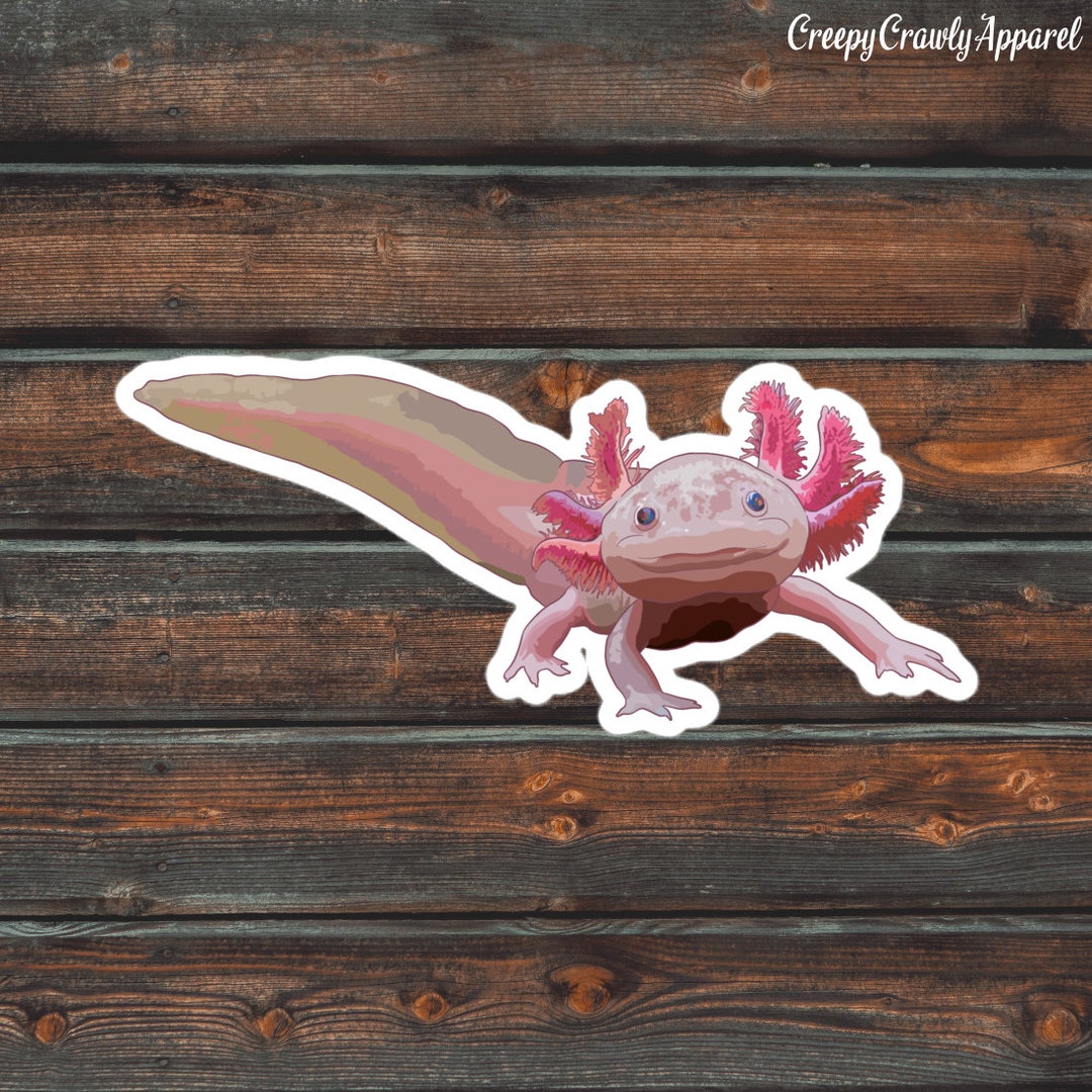 Axolotl Sticker, Cute Axolotl Sticker, Vinyl Waterproof Axolotl Sticker ...