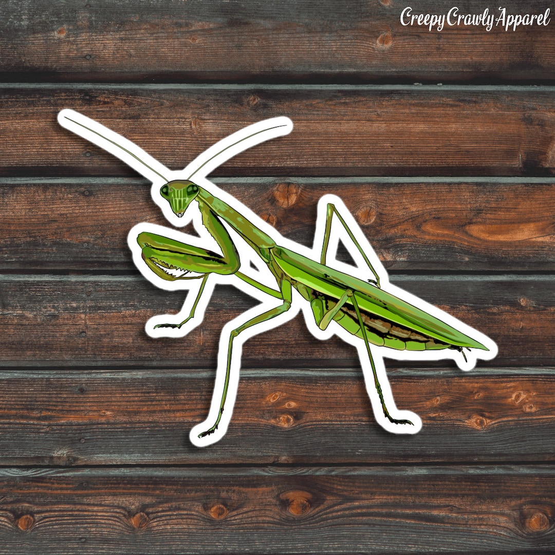 Praying Mantis Sticker, Bug Sticker, Mantis Sticker, Vinyl Waterproof ...