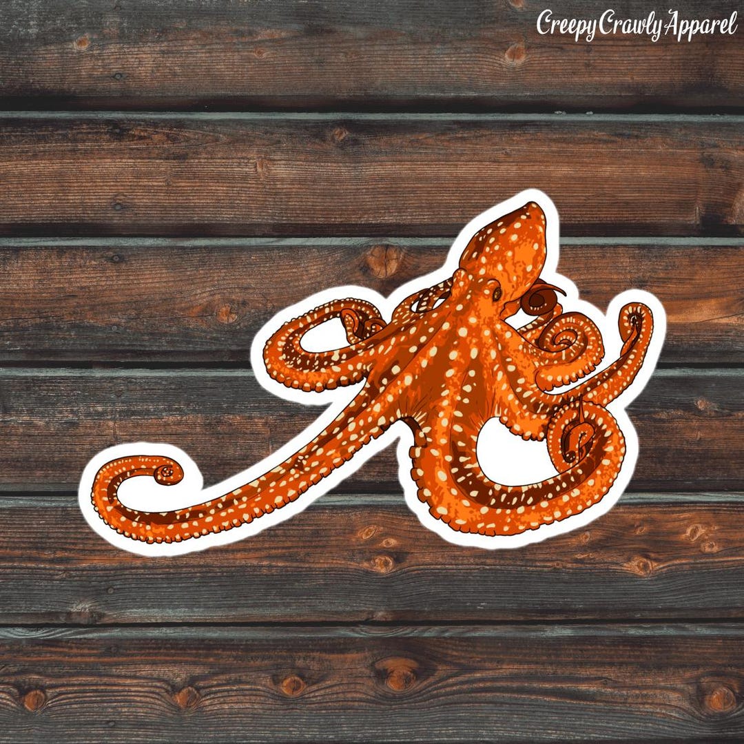 Octopus Sticker, Waterproof Octopus Sticker, Atlantic White Spot ...