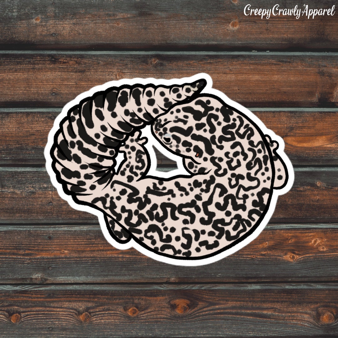 Mack Snow Leopard Gecko Sticker, Reptile Sticker, Lizard Sticker, Vinyl ...