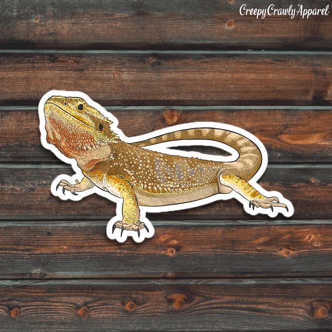 Bearded Dragon Sticker, Reptile Sticker, Lizard Sticker, Vinyl ...