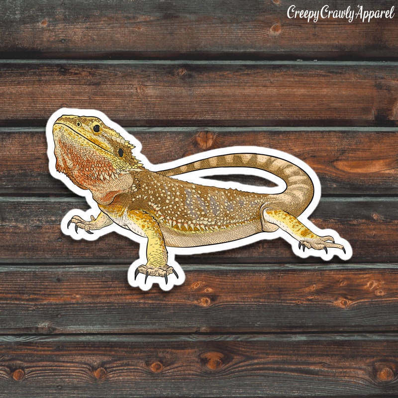 Bearded Dragon - Etsy