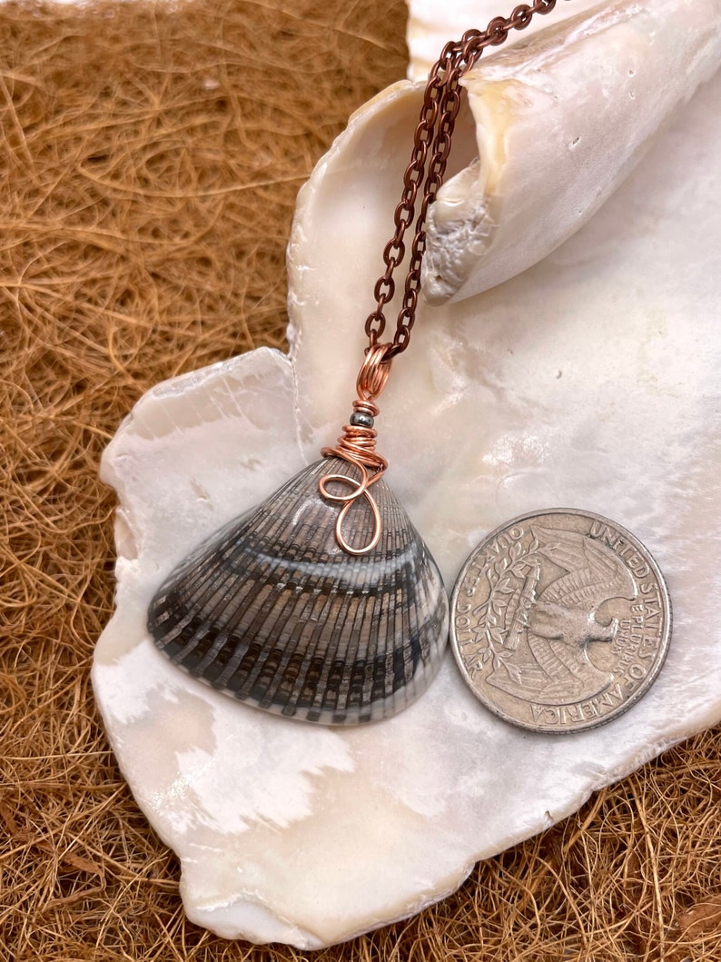 Smooth Natural Blue Seashell Pendant, Copper Wire Wrapped Shell ...