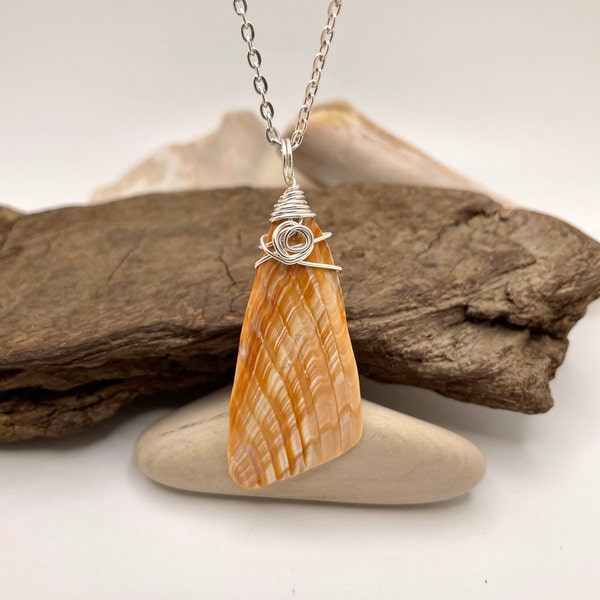 Wire Wrapped Shell - Etsy