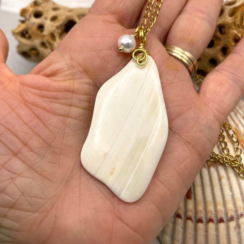 Real Seashell - Etsy