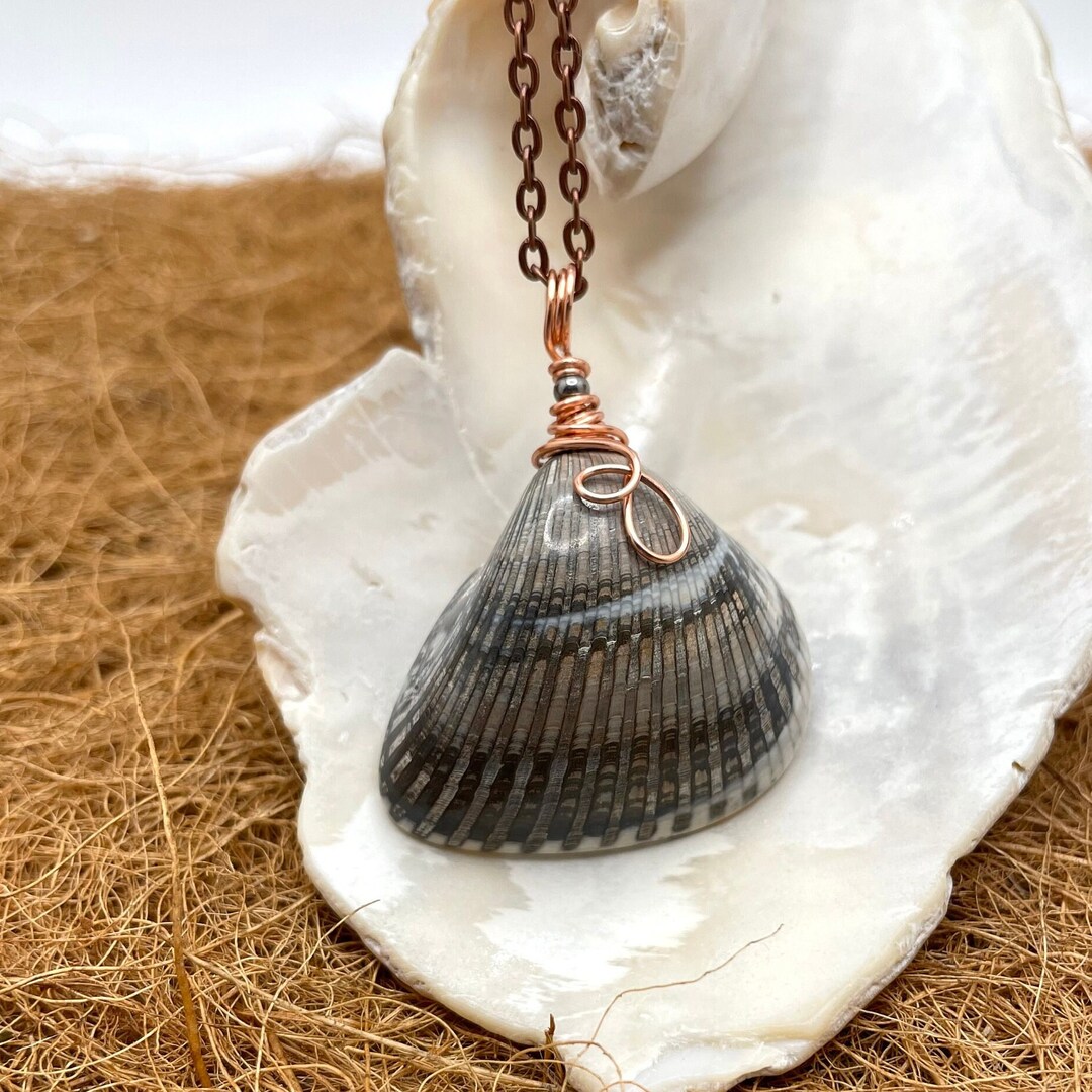 Smooth Natural Blue Seashell Pendant, Copper Wire Wrapped Shell ...