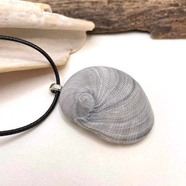 Real Spiral Seashell Necklace - Etsy