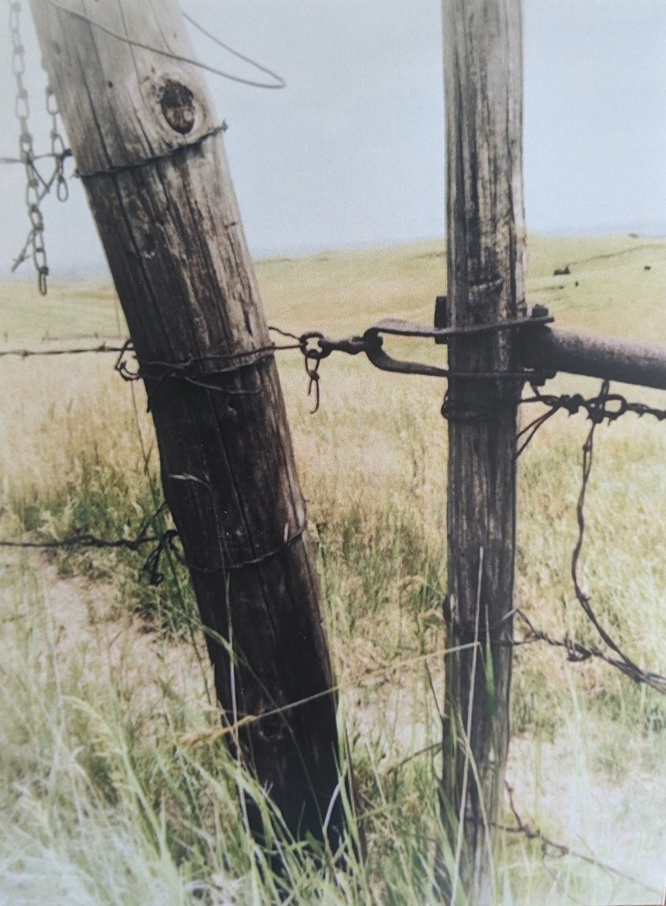 Western Note Cards | Rustic Photo Card Stationery With Envelopes - Etsy