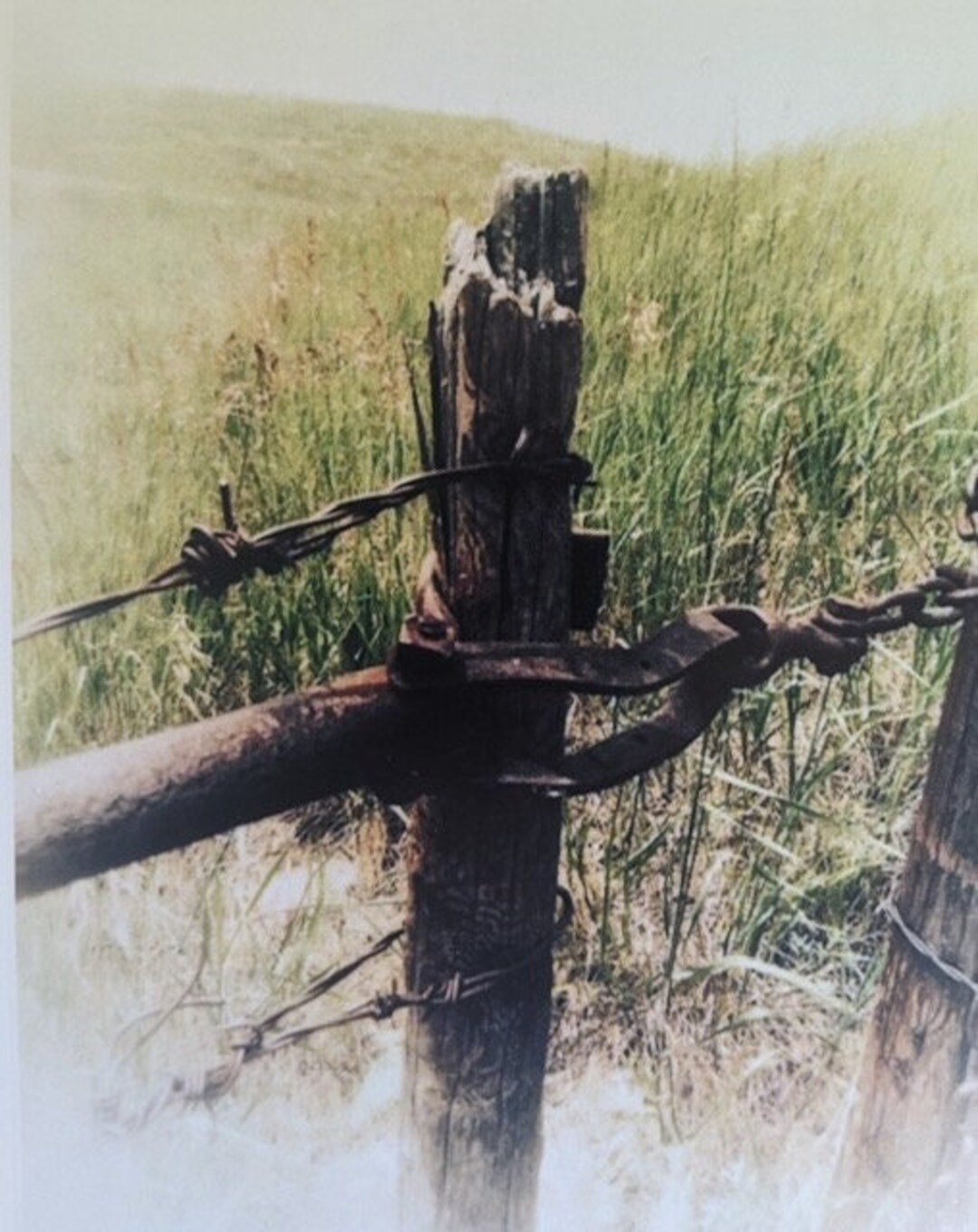 Western Note Cards | Rustic Photo Card Stationery With Envelopes - Etsy