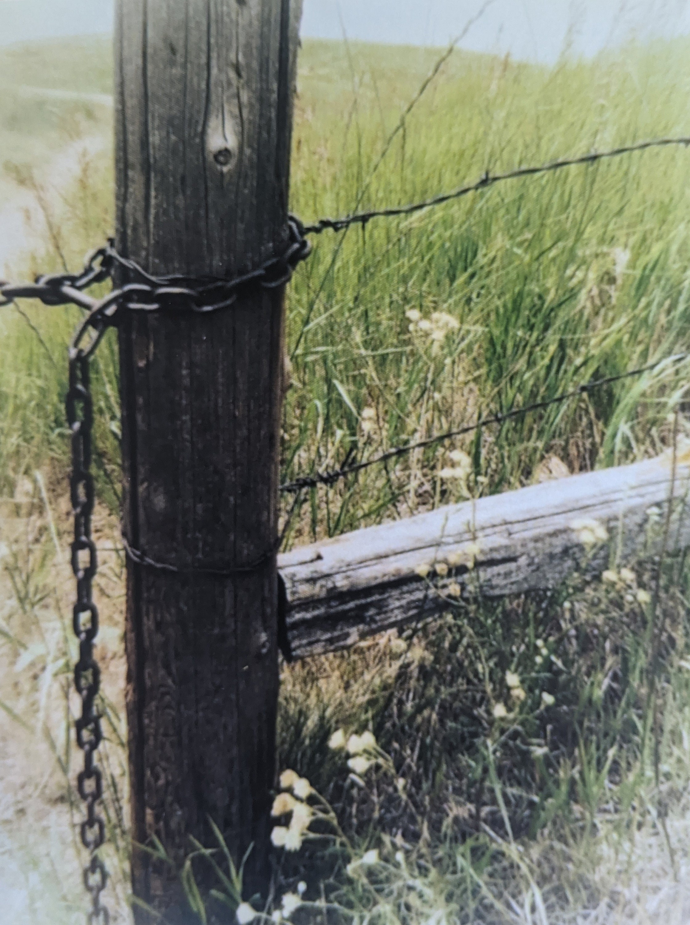 Western Note Cards | Rustic Photo Card Stationery With Envelopes - Etsy