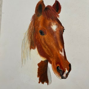 Colored Pencil Memorial Drawing for Horses - Etsy