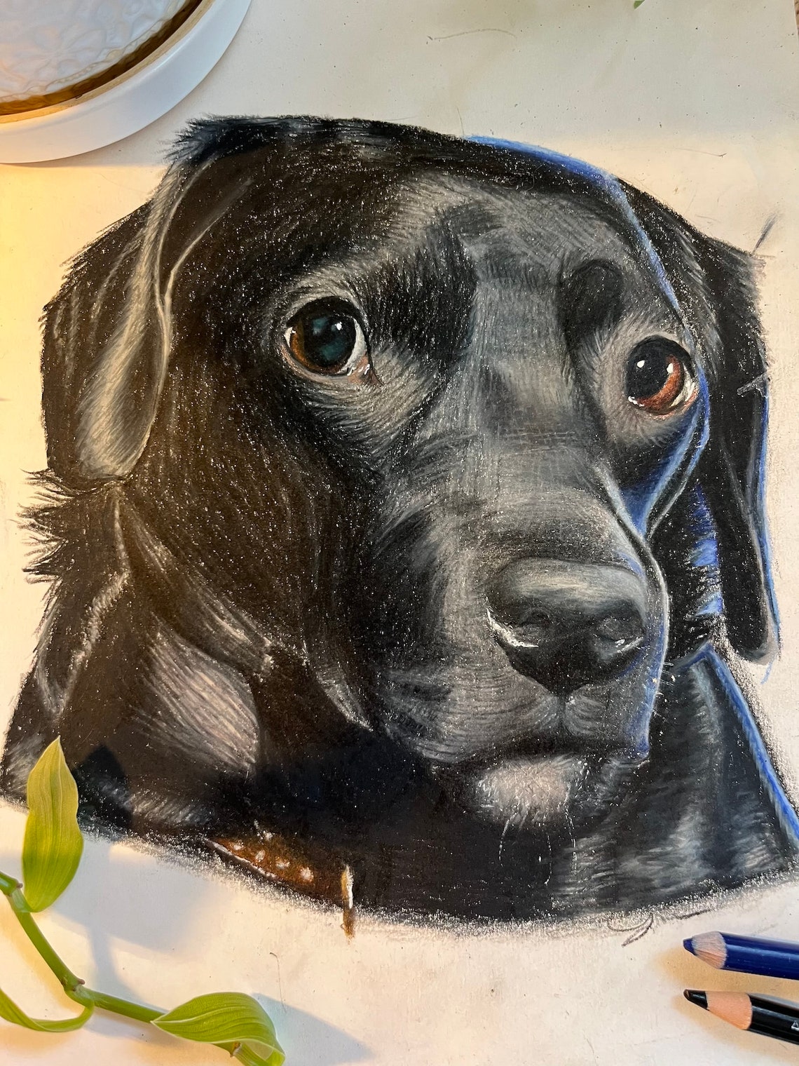 Colored Pencil Memorial Dog Drawing - Etsy