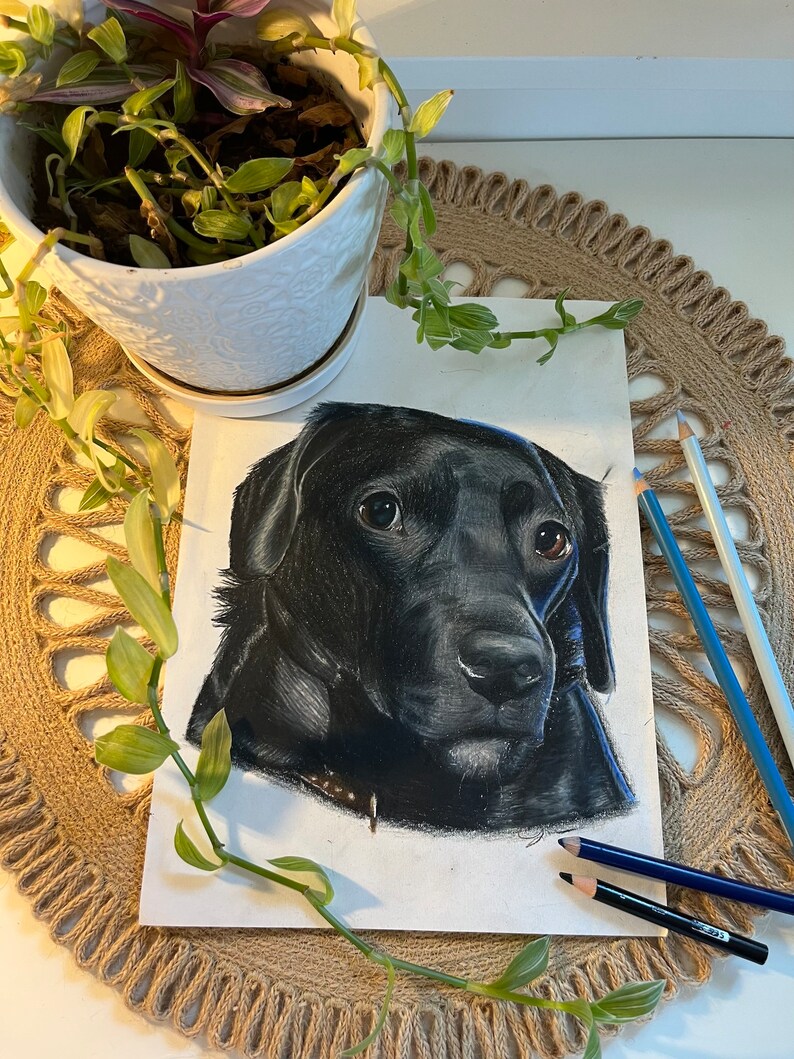 Colored Pencil Memorial Dog Drawing - Etsy