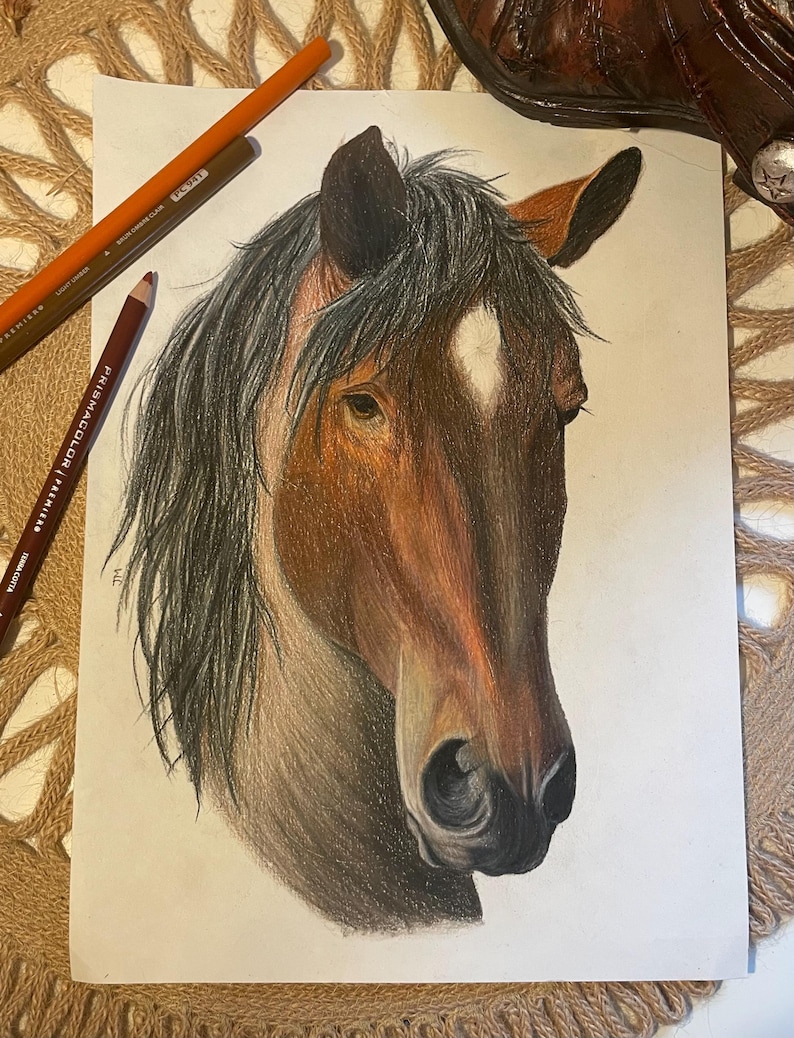 Colored Pencil Memorial Drawing for Horses - Etsy