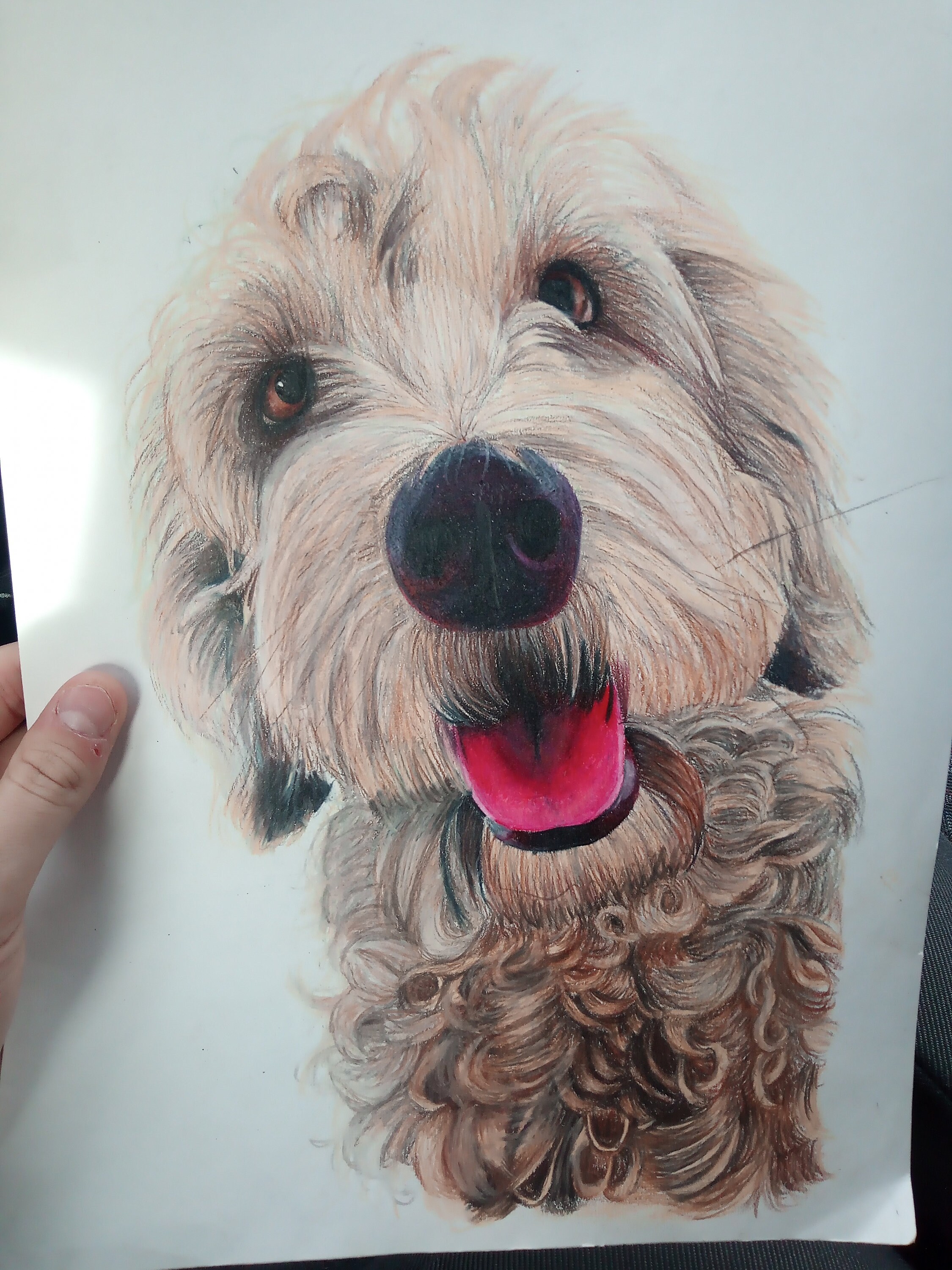 Colored Pencil Memorial Dog Drawing - Etsy