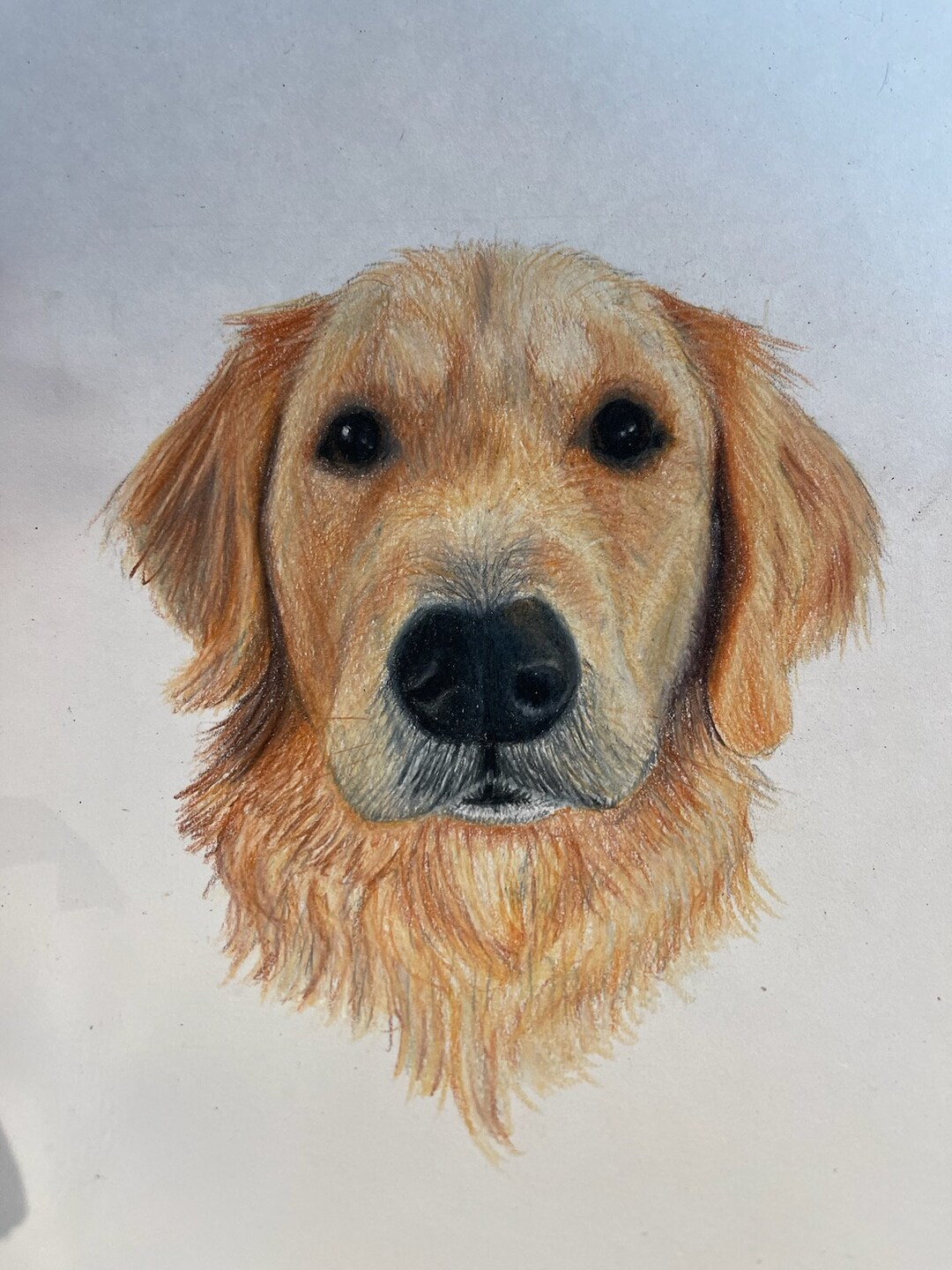 Colored Pencil Memorial Dog Drawing - Etsy
