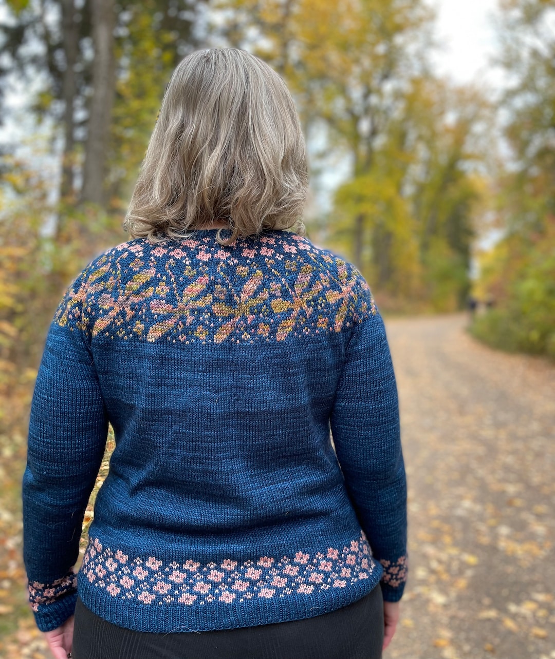 PATTERN** Dancing Dragonfly Pullover, Yoke Sweater, Colourwork Pattern ...
